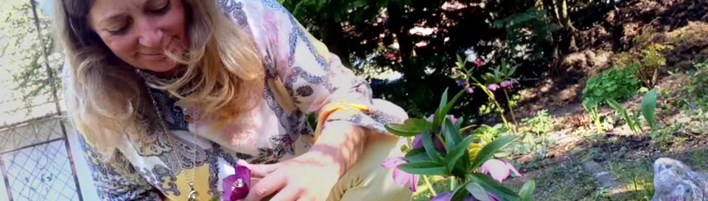 Welche Kräuter heilen können und in den Kräutergarten gehören | RTF.1