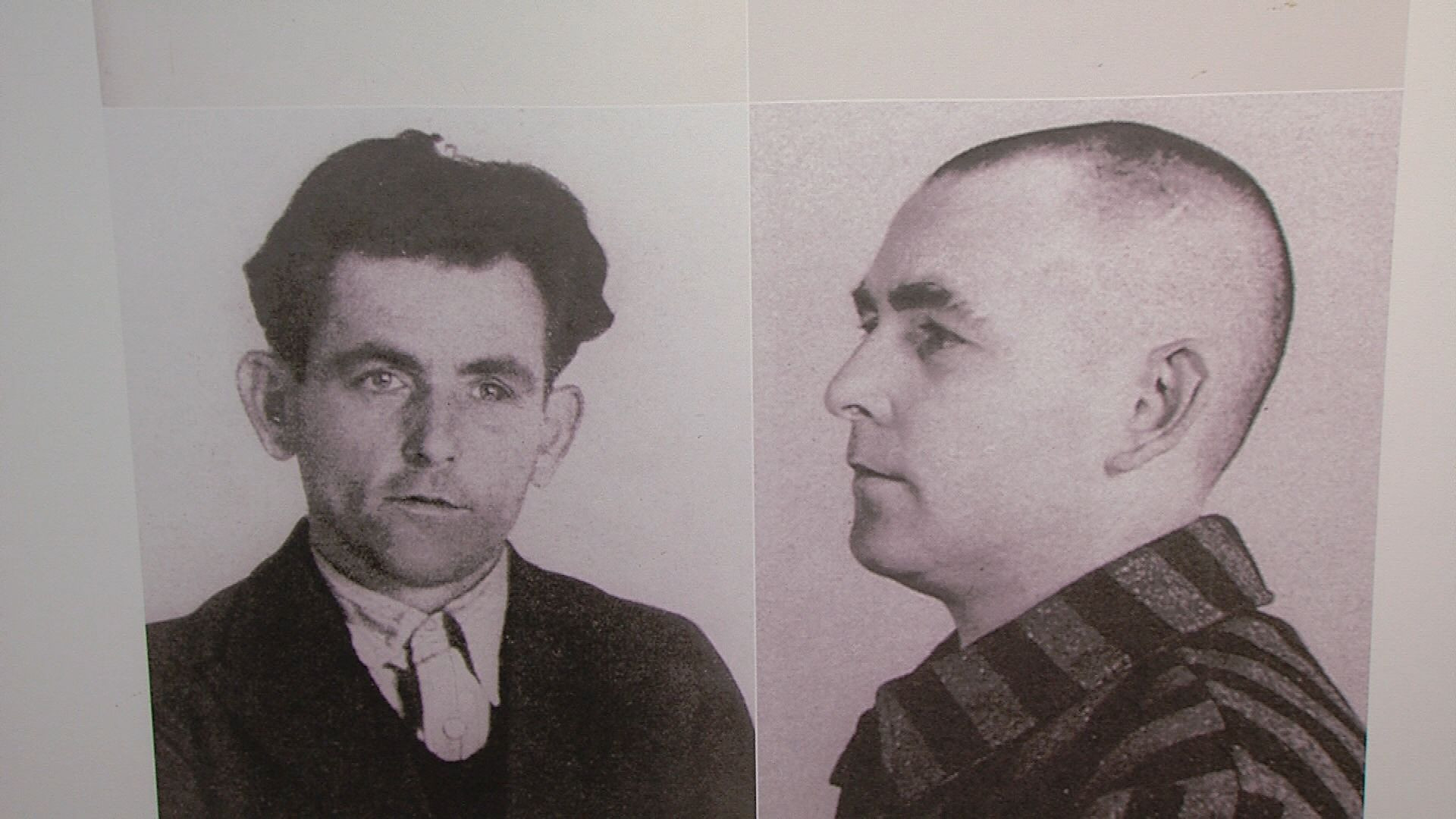 Ich habe den Krieg verhindern wollen - Ausstellung zu Georg Elser im ...